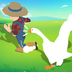 Crazy Goose Simulator 🕹️ Play on Kiz10